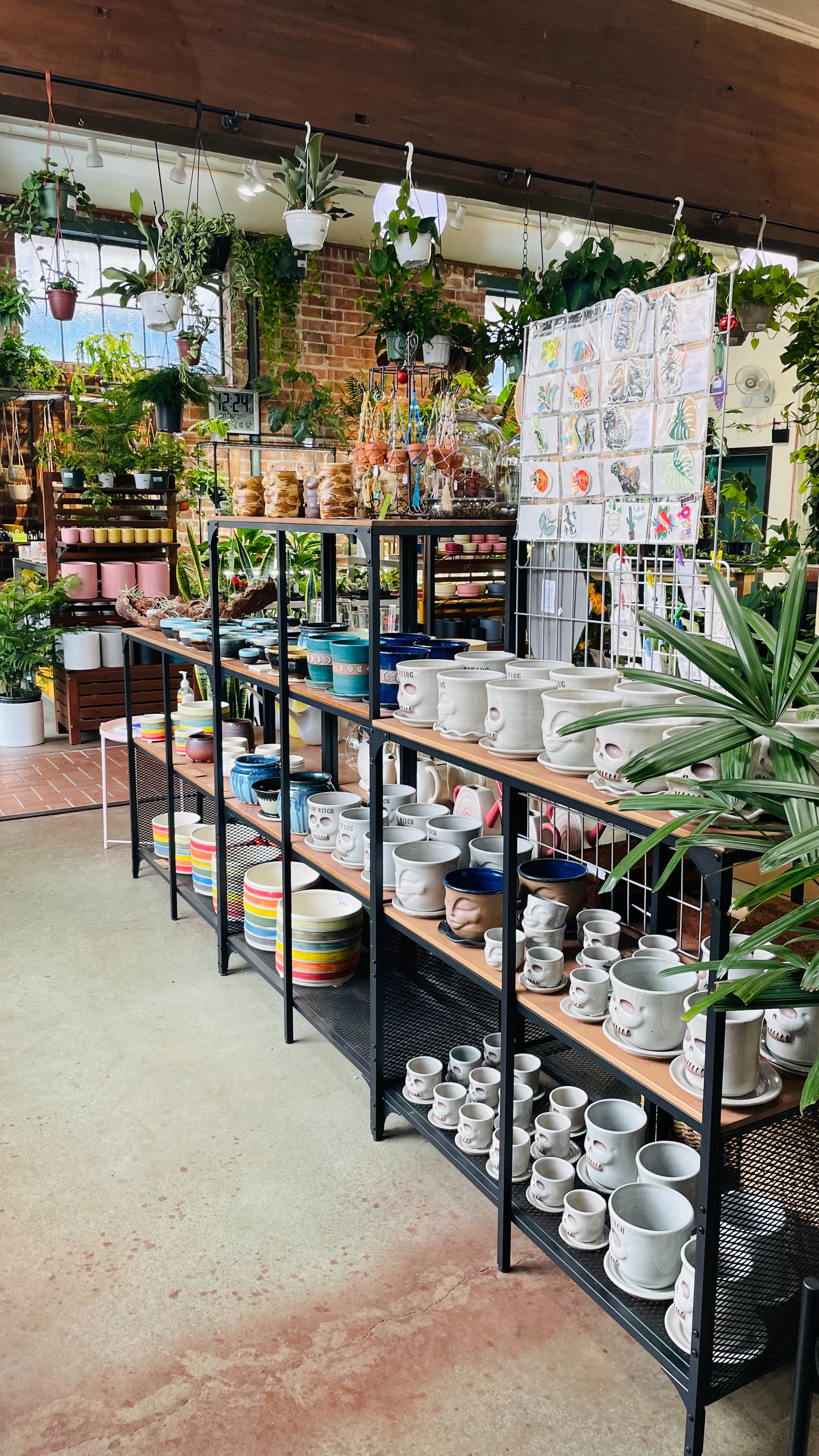 Houseplants, Local Pottery, Soil Blends, and more | Underhill Plants
